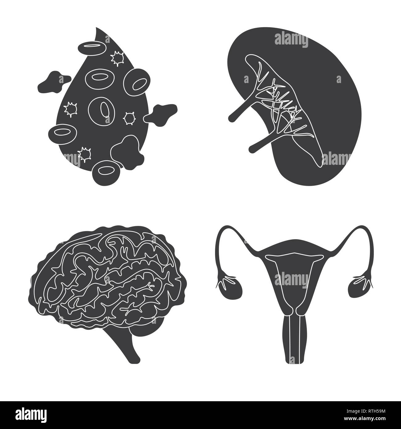 blood,kidney,brain,urinary,plasma,mind,system,cell,beans,intelligence ...