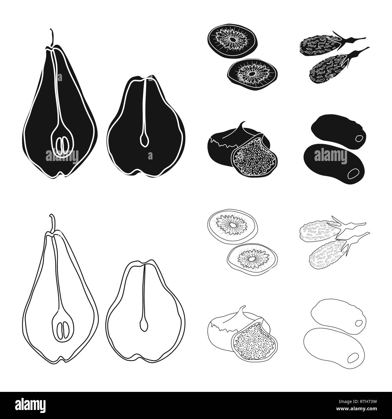 Vector illustration of food and raw icon. Collection of food and nature ...