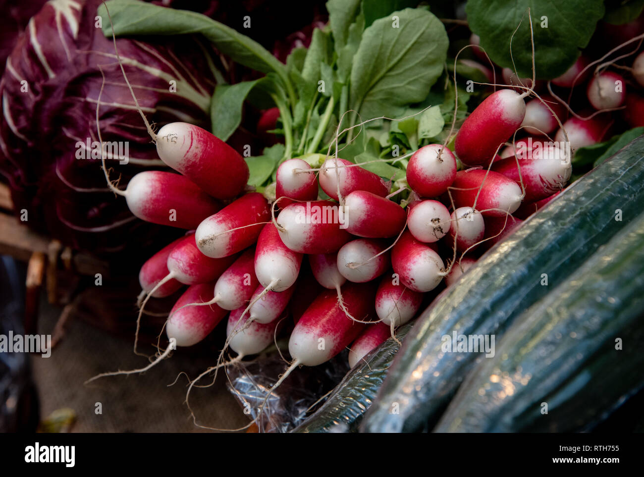 Beet, Beta vulgaris, vegetable full of nutrition for a healthy ...