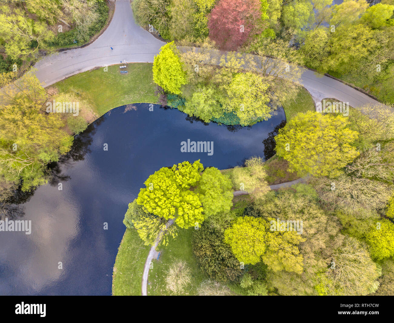 Top down detail view of park with trees pond and tracks Stock Photo - Alamy