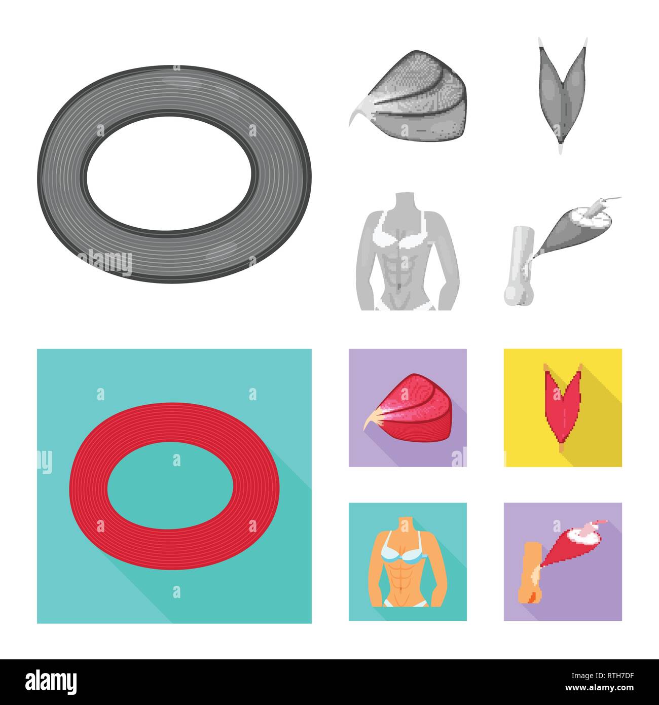 Vector illustration of fiber and muscular sign. Collection of fiber and ...