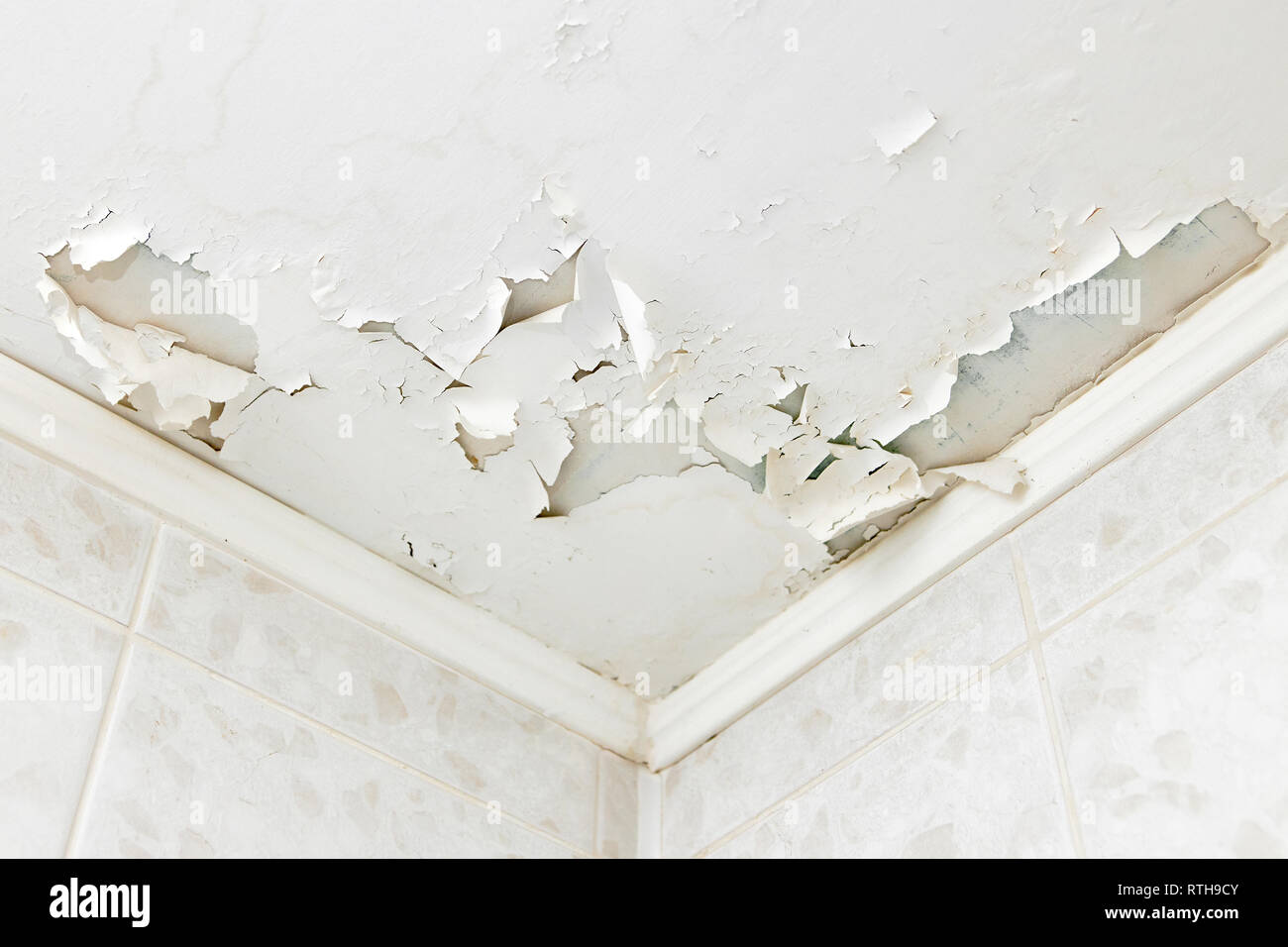 Swelling leaking of whitewash and plaster on ceiling of dwelling due to ...