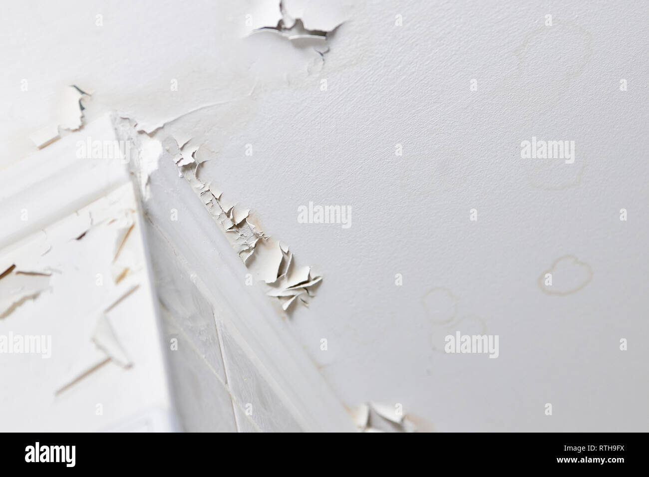 Swelling leaking of whitewash and plaster on ceiling of dwelling due to ...