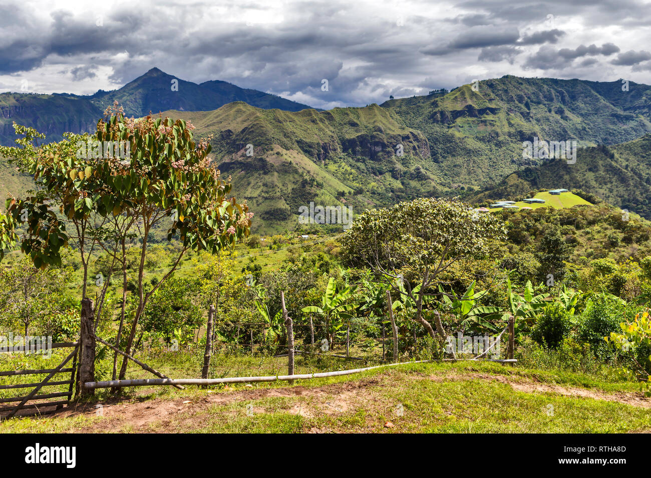 Landscape, Alto de Segovia tombs, Tierradentro, Colombia Stock Photo ...