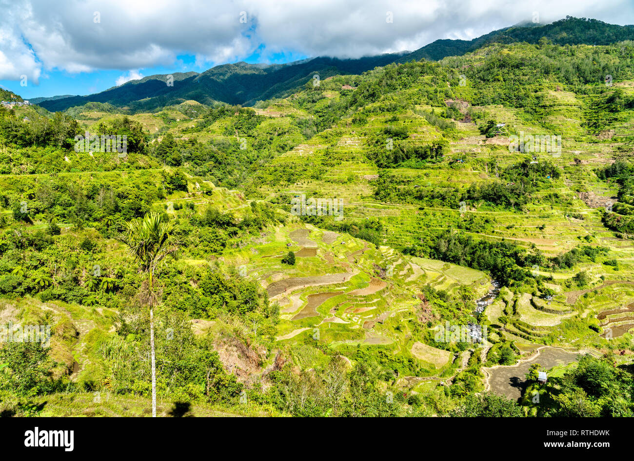 Rice Terraces of Banaue - UNESCO world heritage in Ifugao, the ...