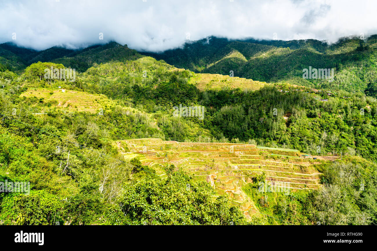 Rice Terraces of Banaue - UNESCO world heritage in Ifugao, the ...