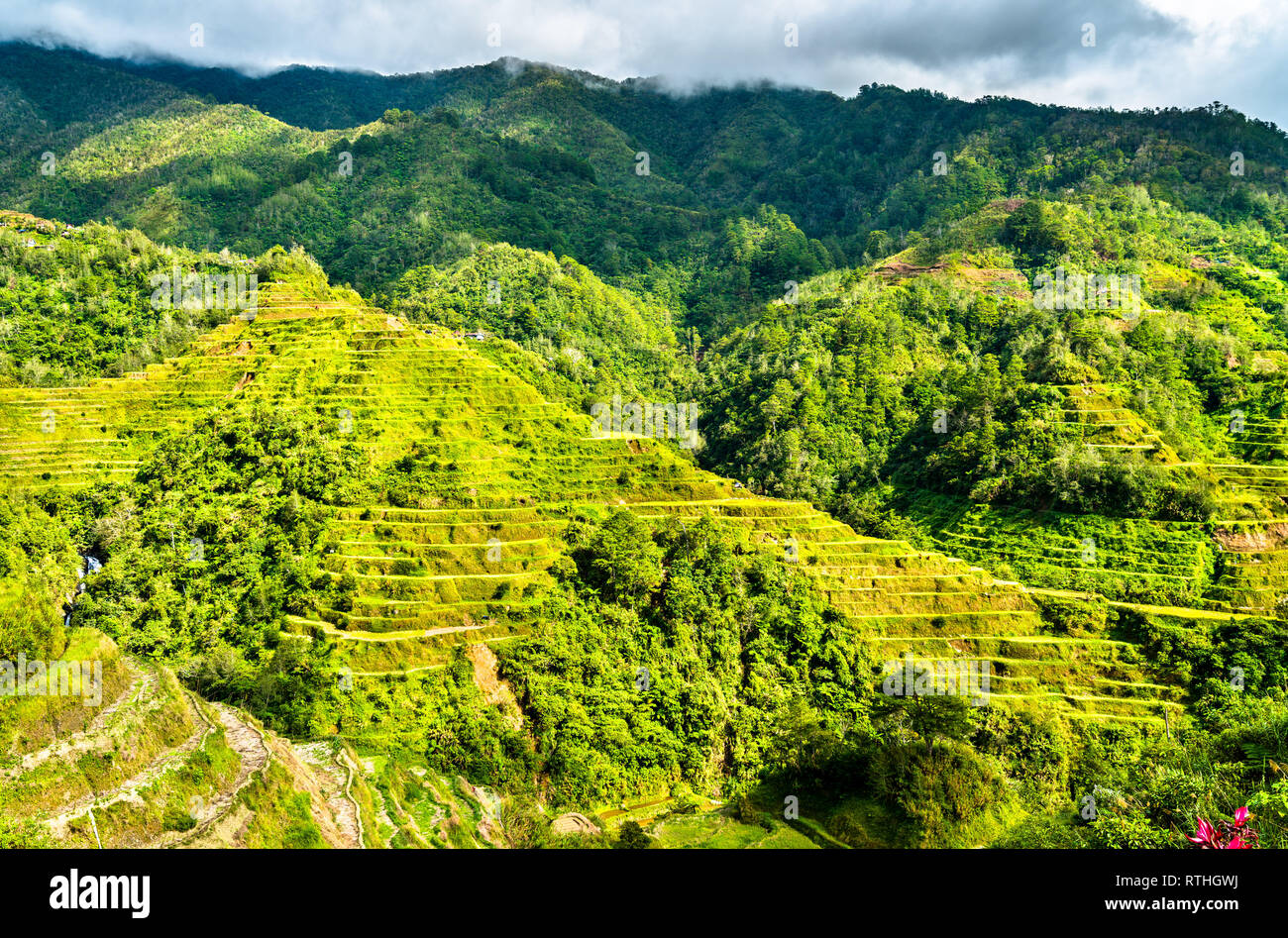 Rice Terraces of Banaue - UNESCO world heritage in Ifugao, the ...