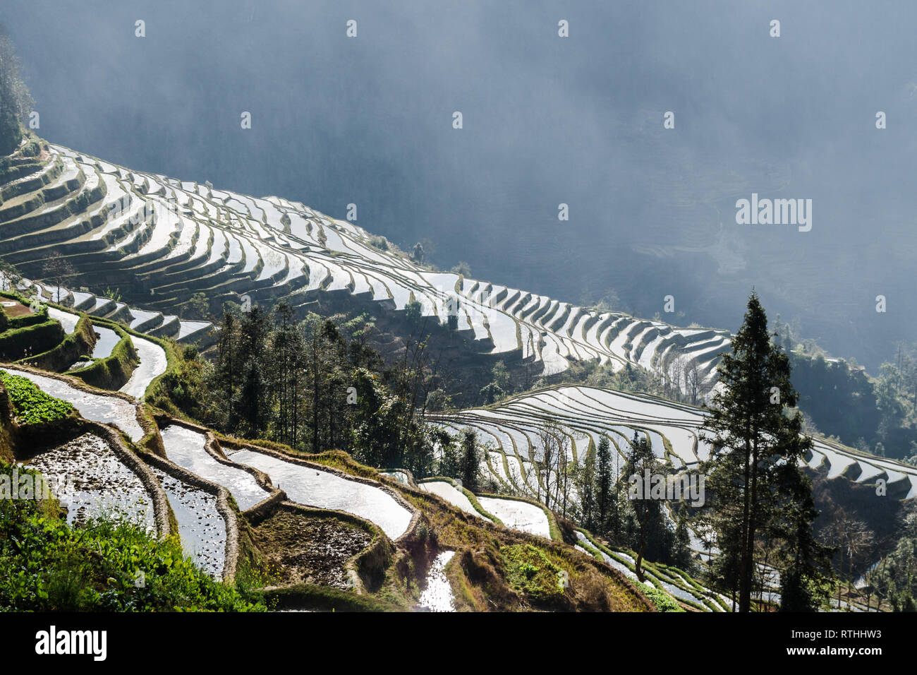 Paddy fields, Yuanyang Rice Terraces, Yunnan Province, China Stock ...