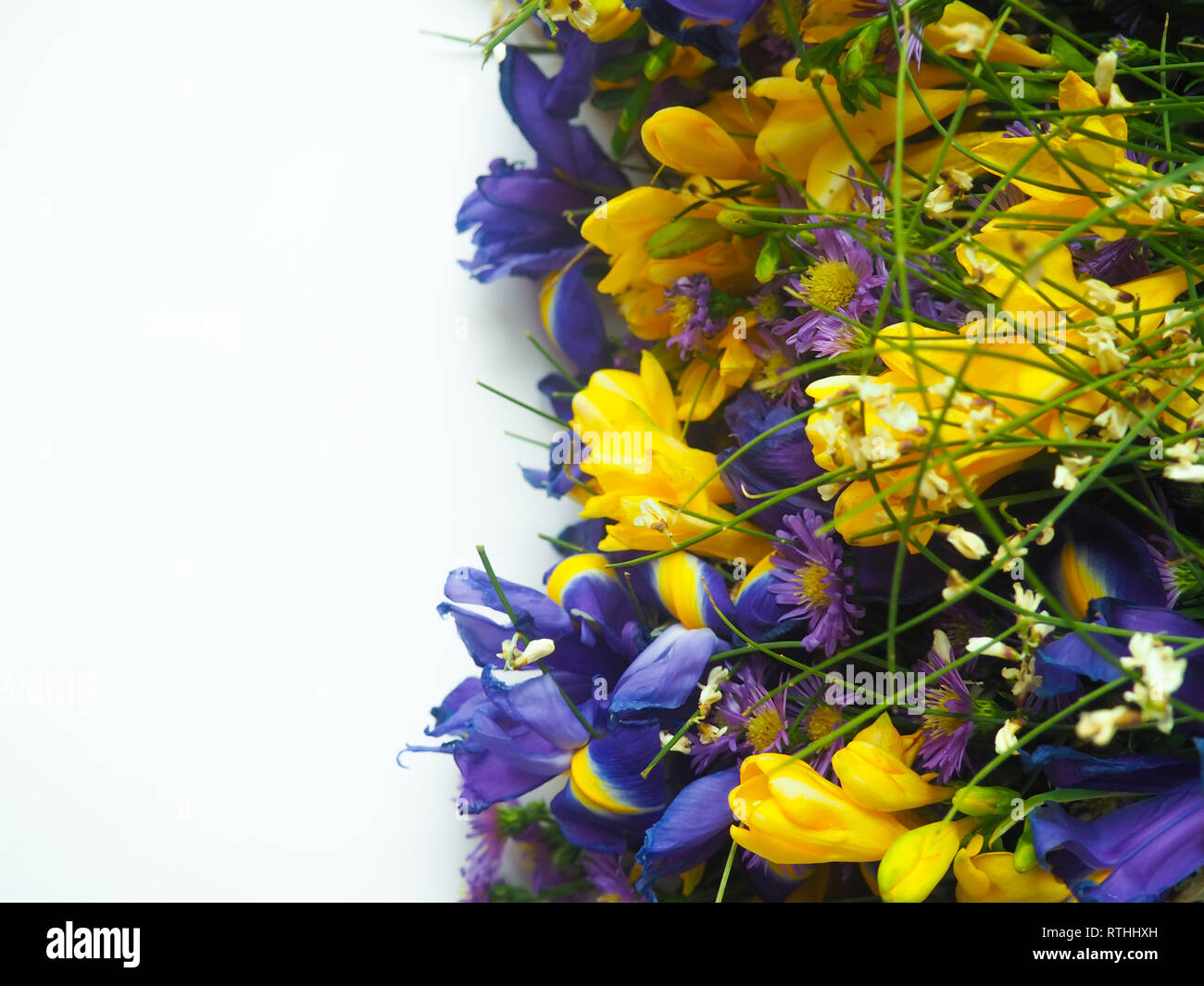 a field of small blue flowers on a pink background, as an underlay ...