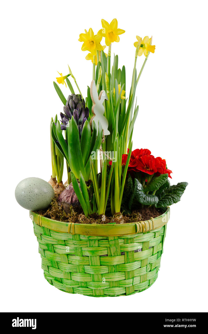 Isolated easter decoration with spring flowers in a green basket Stock ...