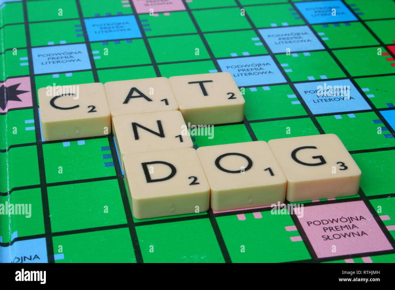 cat and dog inscription made of scrabble tiles Stock Photo - Alamy