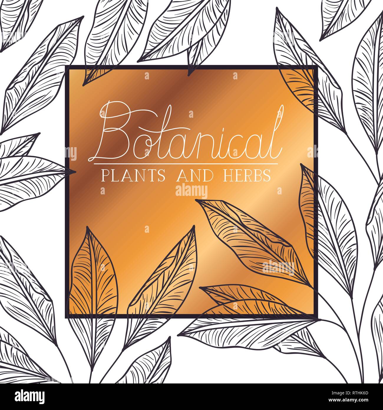botanical label with plants and herbs Stock Vector Image & Art - Alamy