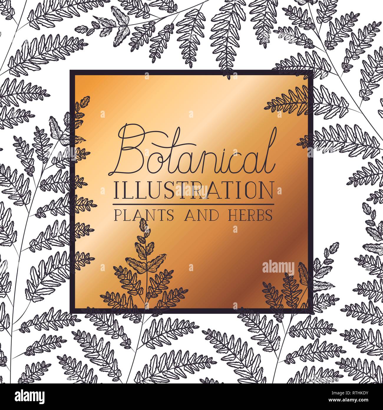 botanical illustration label with plants and herbs Stock Vector Image ...