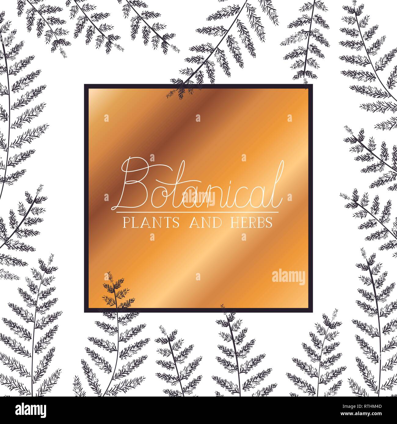 botanical label with plants and herbs Stock Vector Image & Art - Alamy