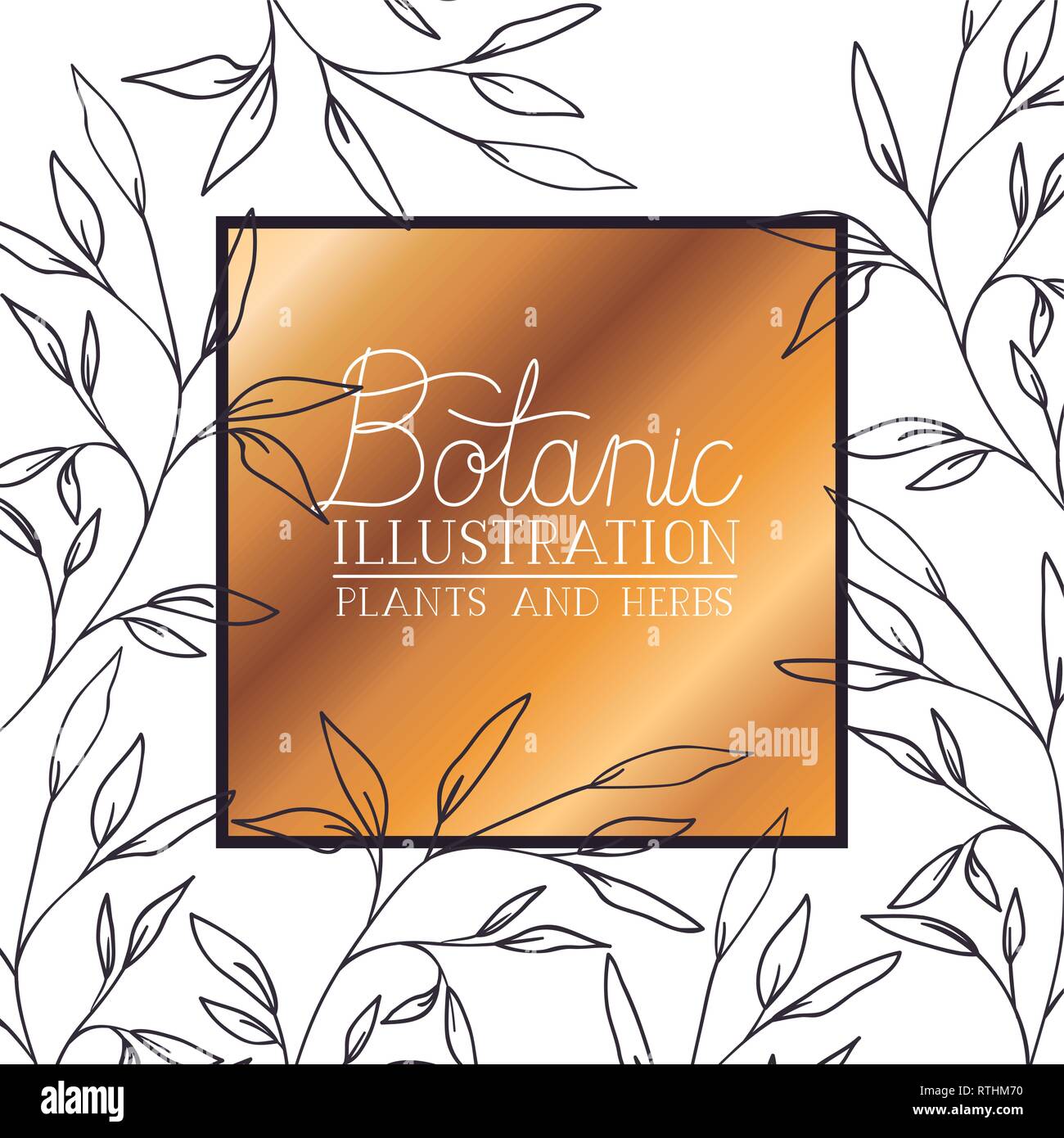 botanic illustration label with plants and herbs Stock Vector Image ...