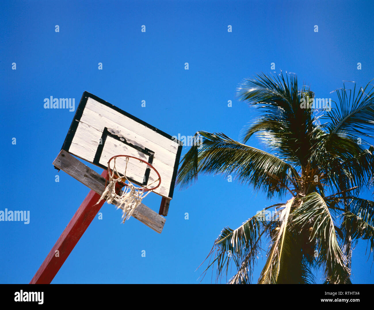 Palm tree basketball hi-res stock photography and images - Alamy