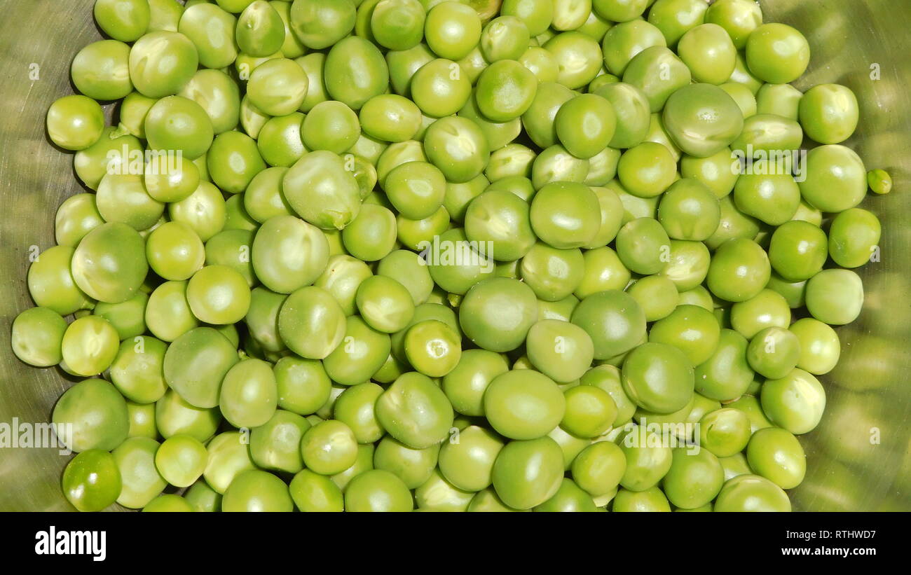 Green Fresh Peas Indian .this photo was taken in ranchi india Stock ...