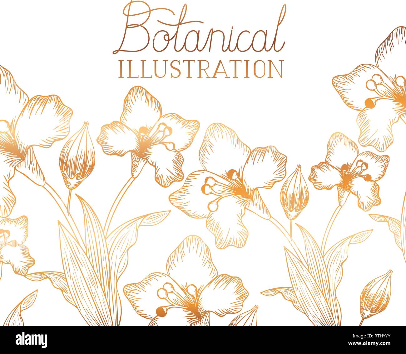 botanical illustration label with plants Stock Vector Image & Art - Alamy