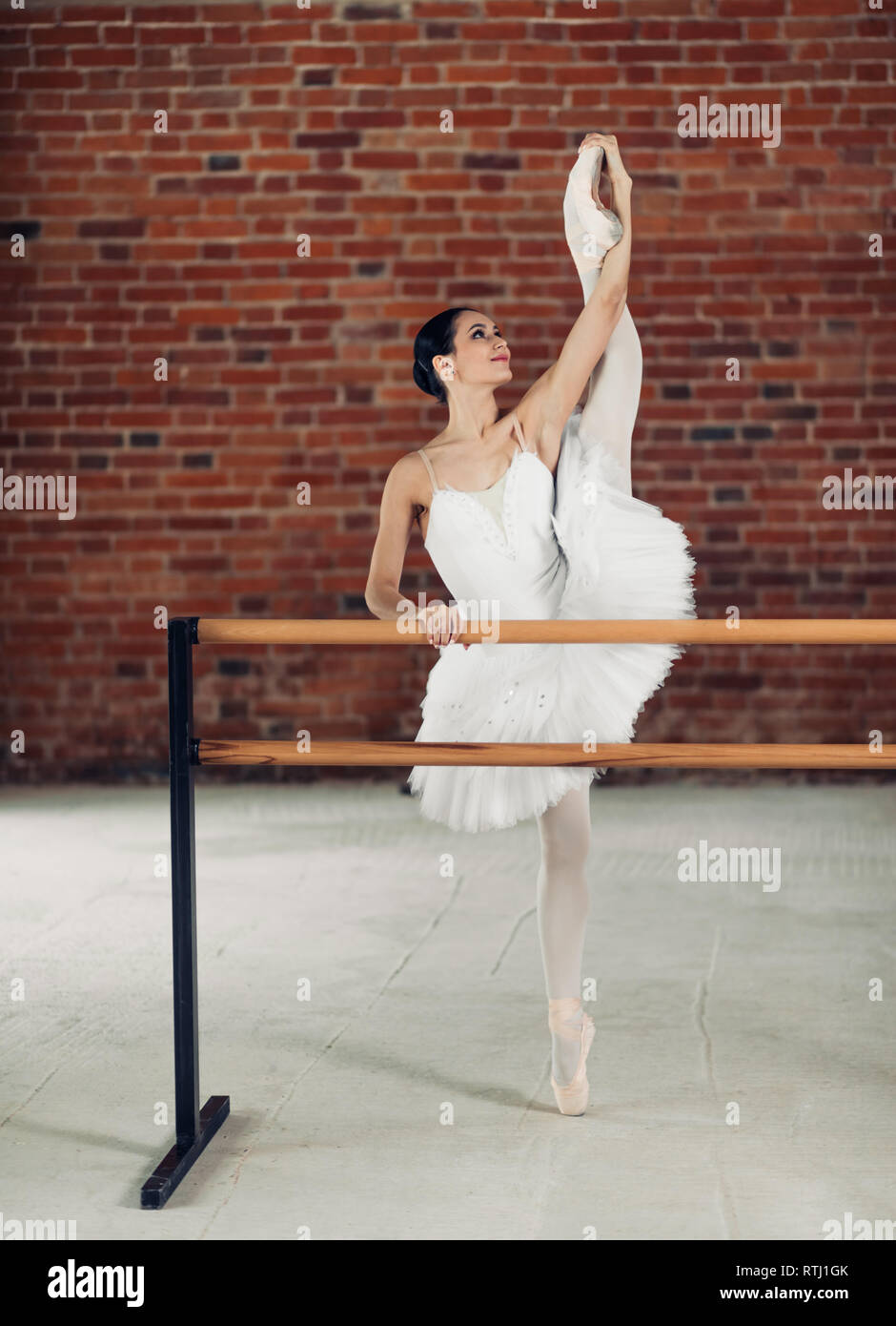 Developpe Perfect Ballet