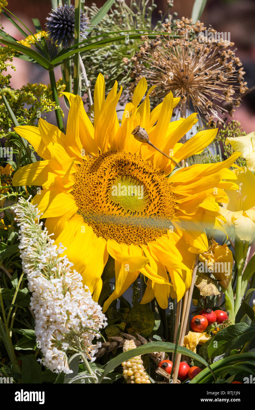beautiful bouquets of flowers and herbs Stock Photo - Alamy