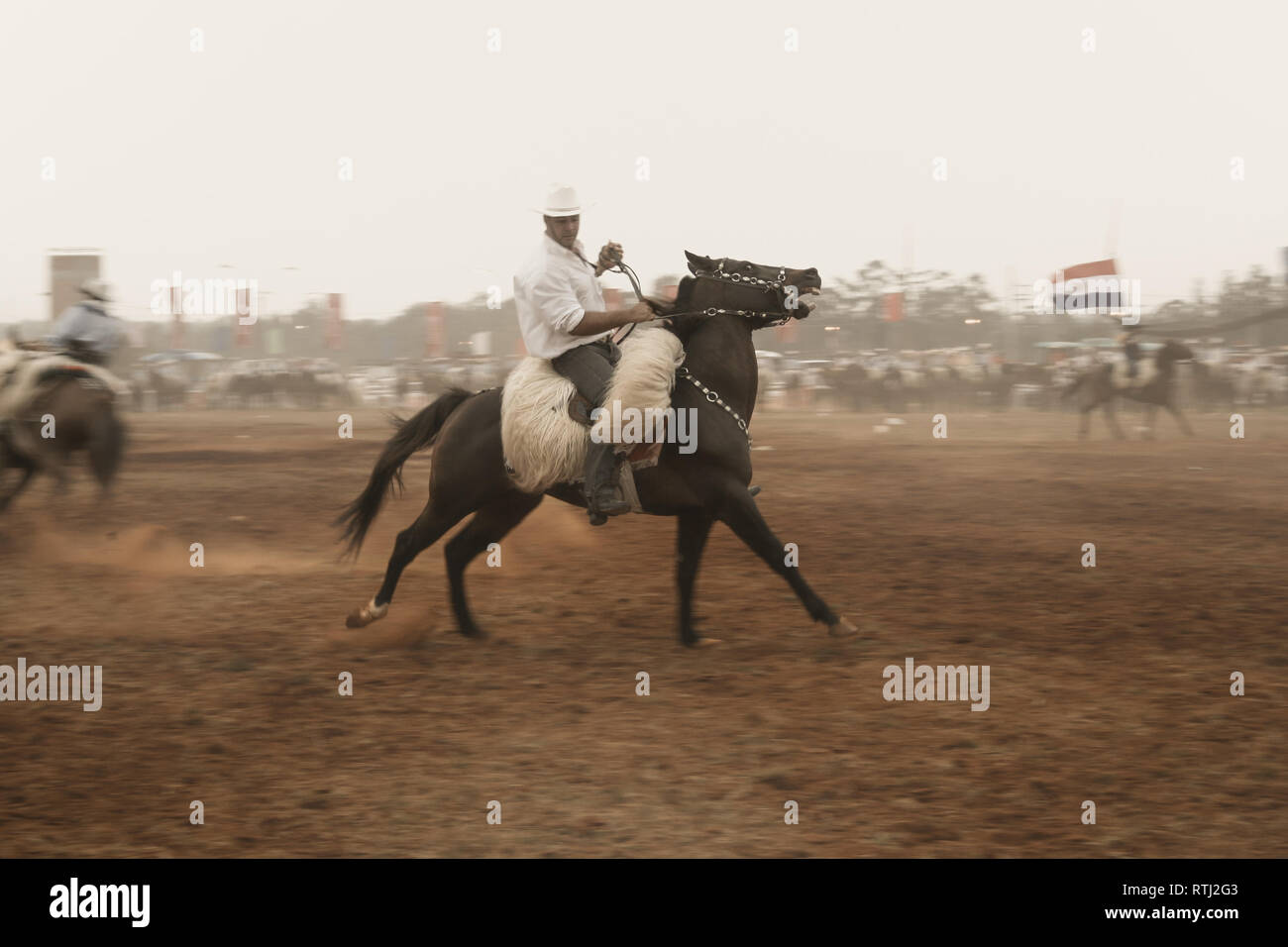 Motion blur, action, panning, concept. Cowboy riding a fast horse ...