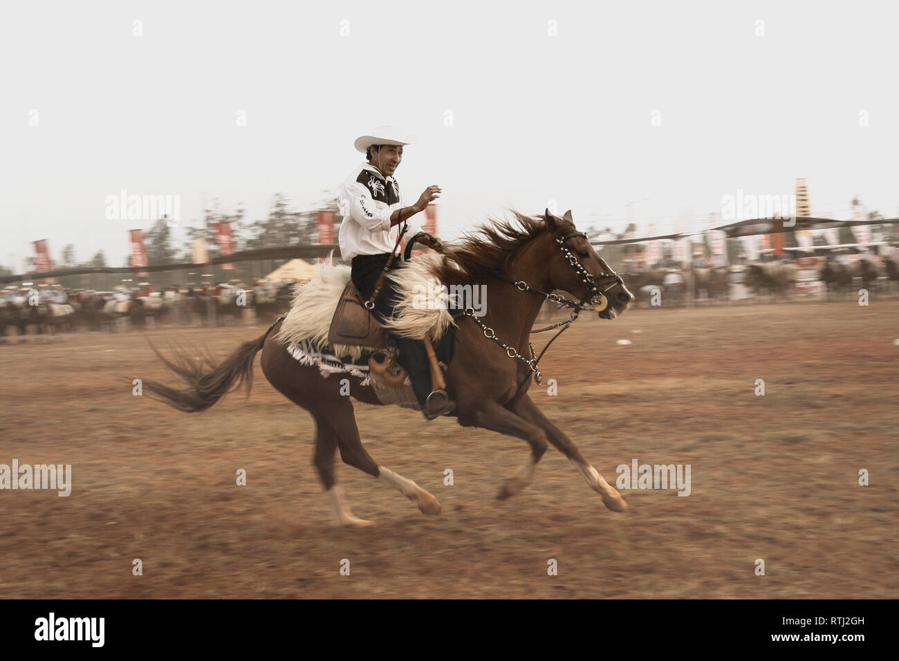 Motion blur, action, panning, concept. Cowboy riding a fast horse ...