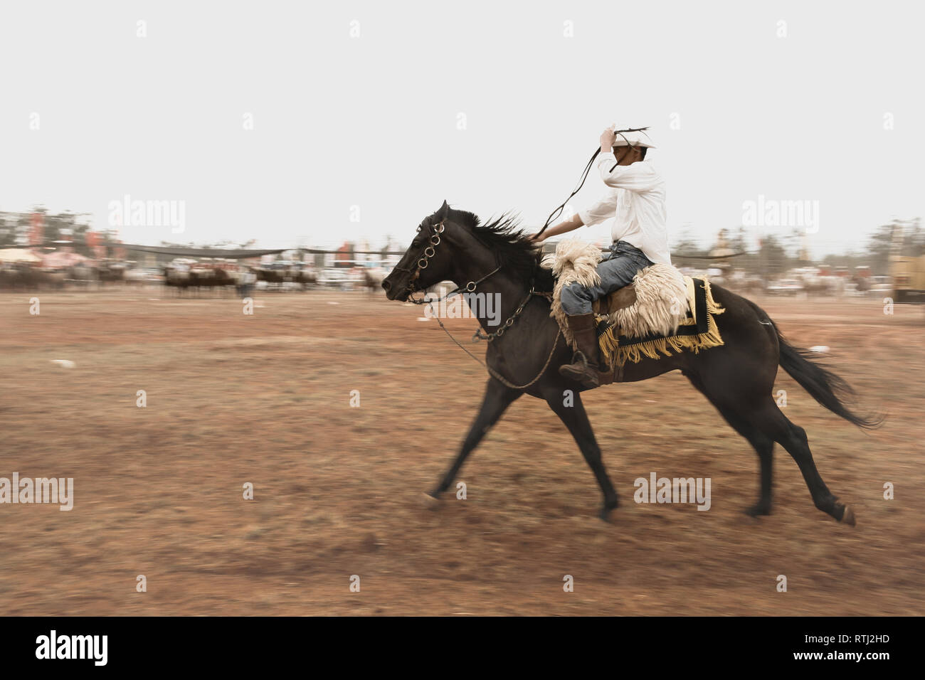 Motion blur, action, panning, concept. Cowboy riding a fast horse ...
