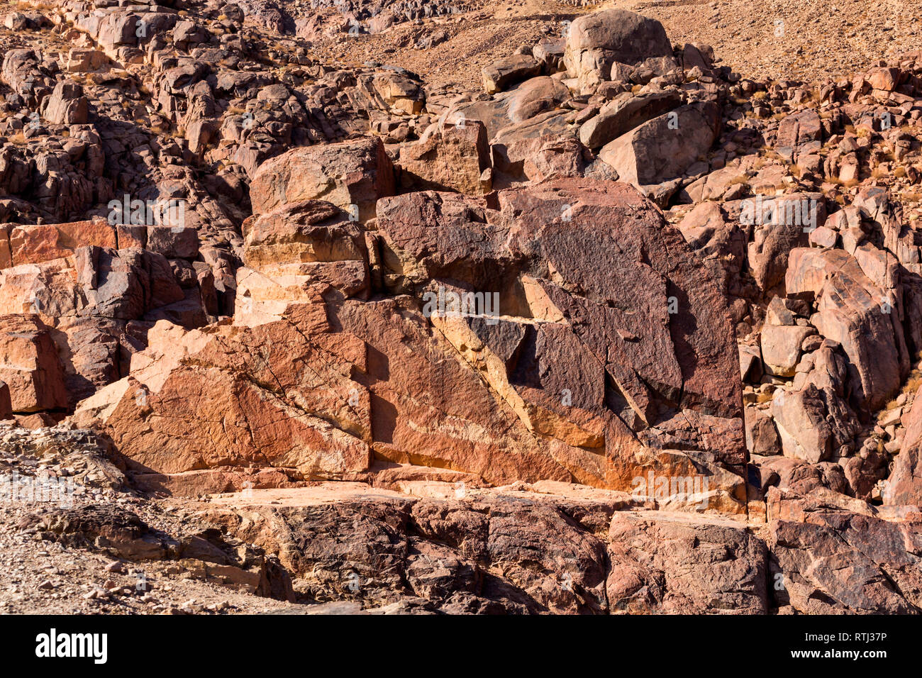 Sunrise, Mount Sinai, Gabal Musa, Sinai peninsula, Egypt Stock Photo ...