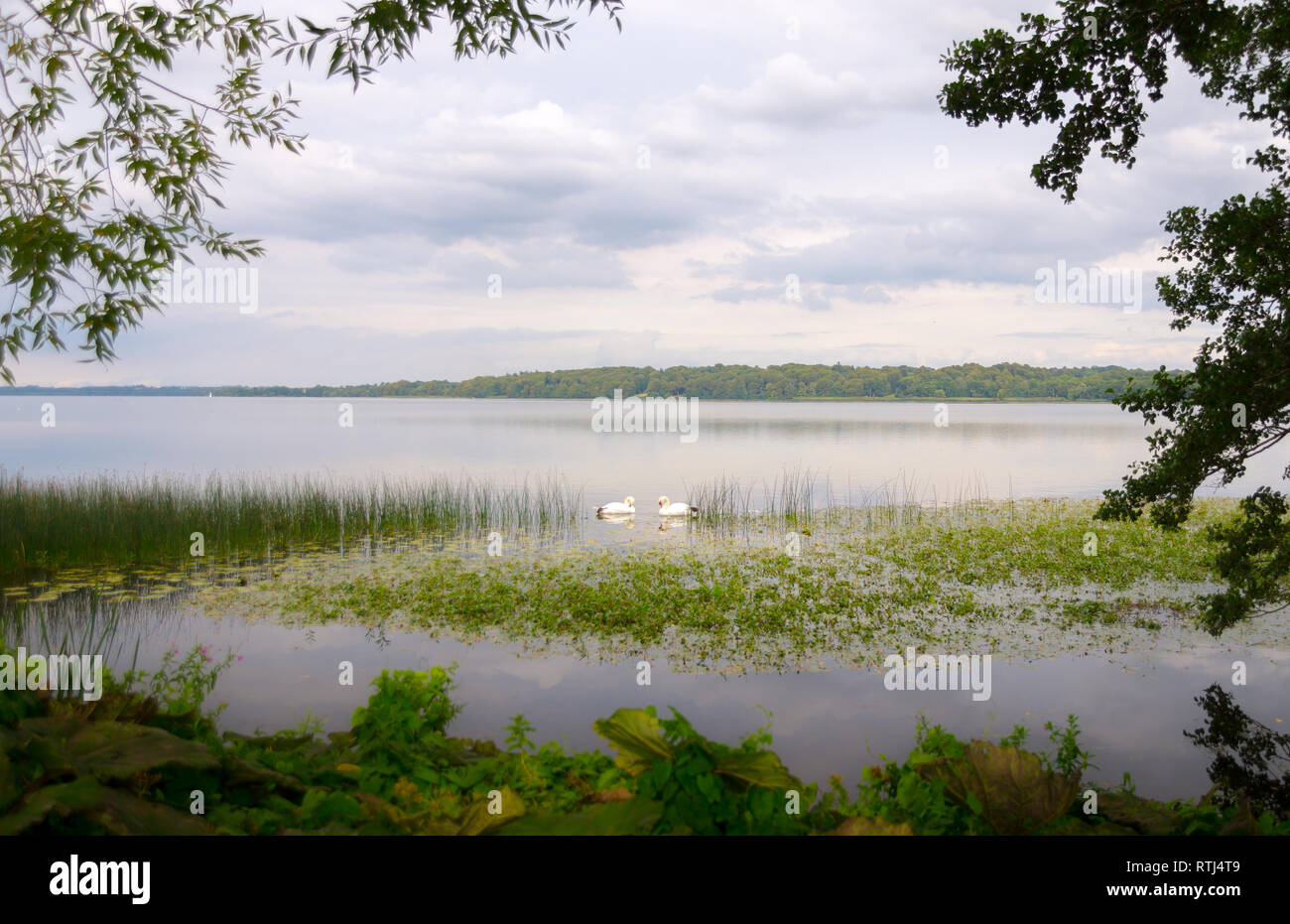Nice scenery hi-res stock photography and images - Alamy