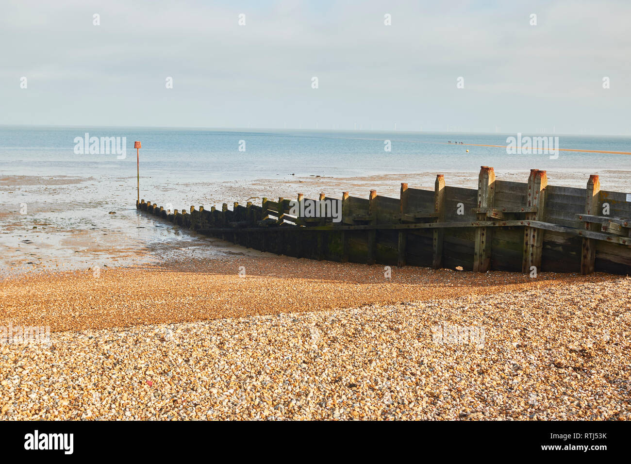 Pebble beach and groynes on Whitstable beach, Kent, England, United ...