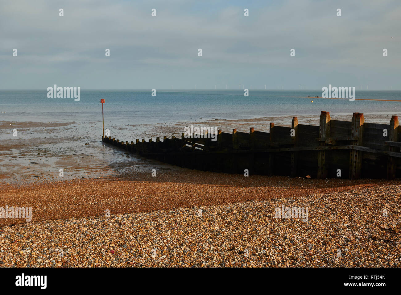Pebble beach and groynes on Whitstable beach, Kent, England, United ...