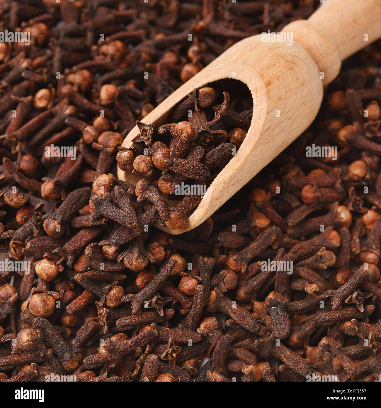 Wooden sorting scoop with dried cloves closeup Stock Photo - Alamy