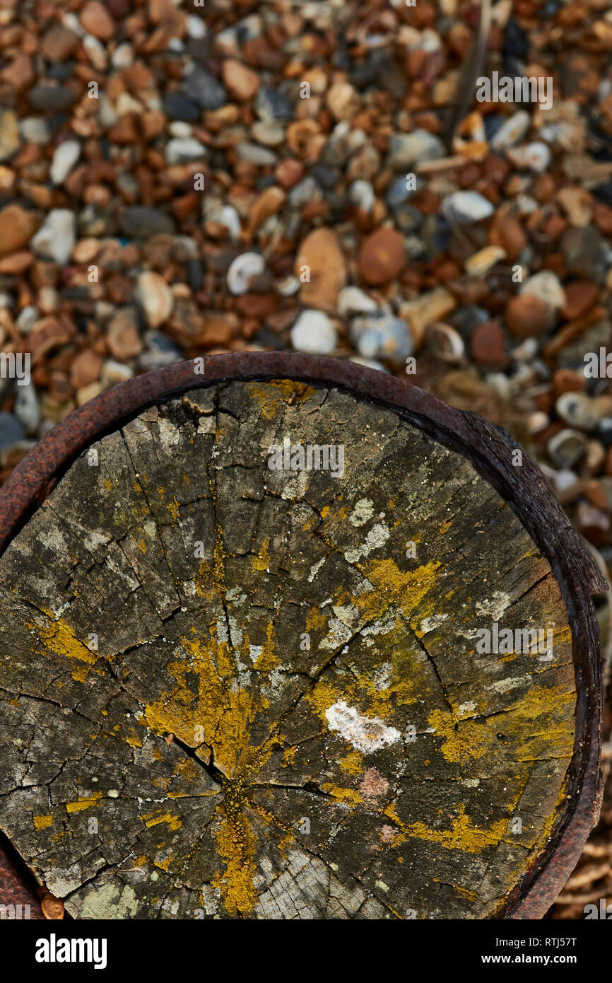 Abstract top of wooden post showing patterns and texture, Whitstable ...