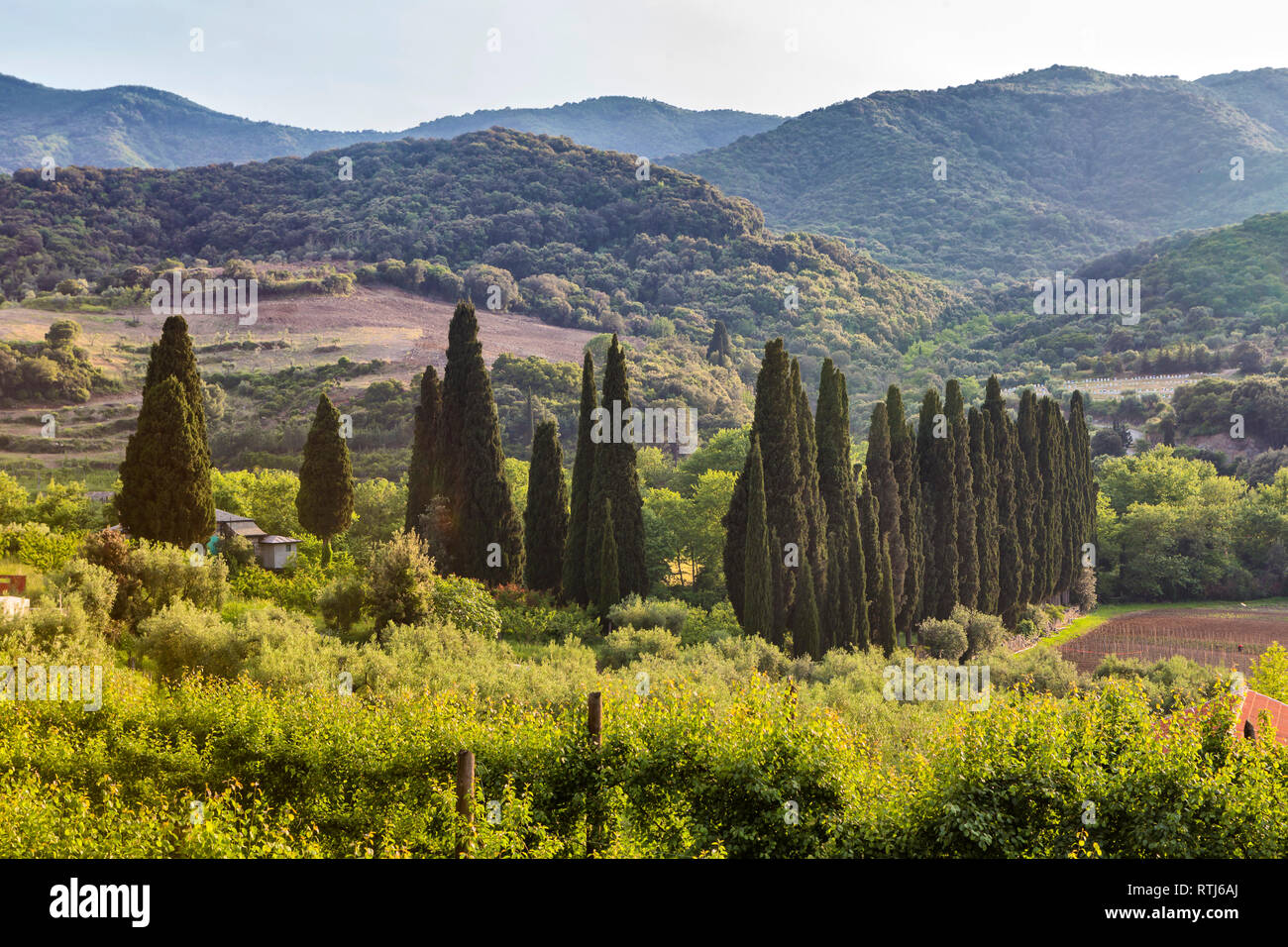 Landscape, Mount Athos, Athos peninsula, Greece Stock Photo - Alamy