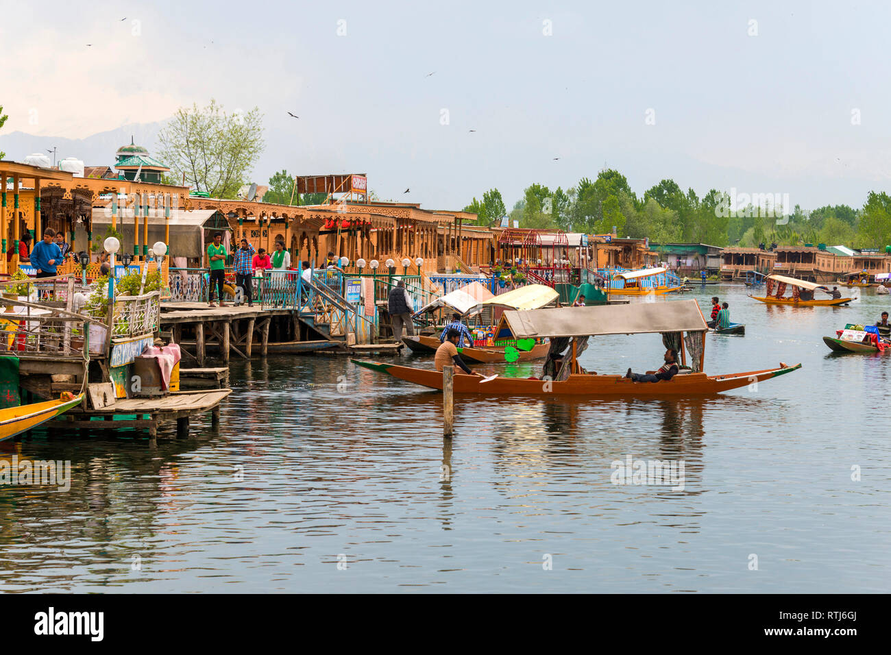 Dal lake, Srinagar, Jammu and Kashmir, J&K, India Stock Photo - Alamy