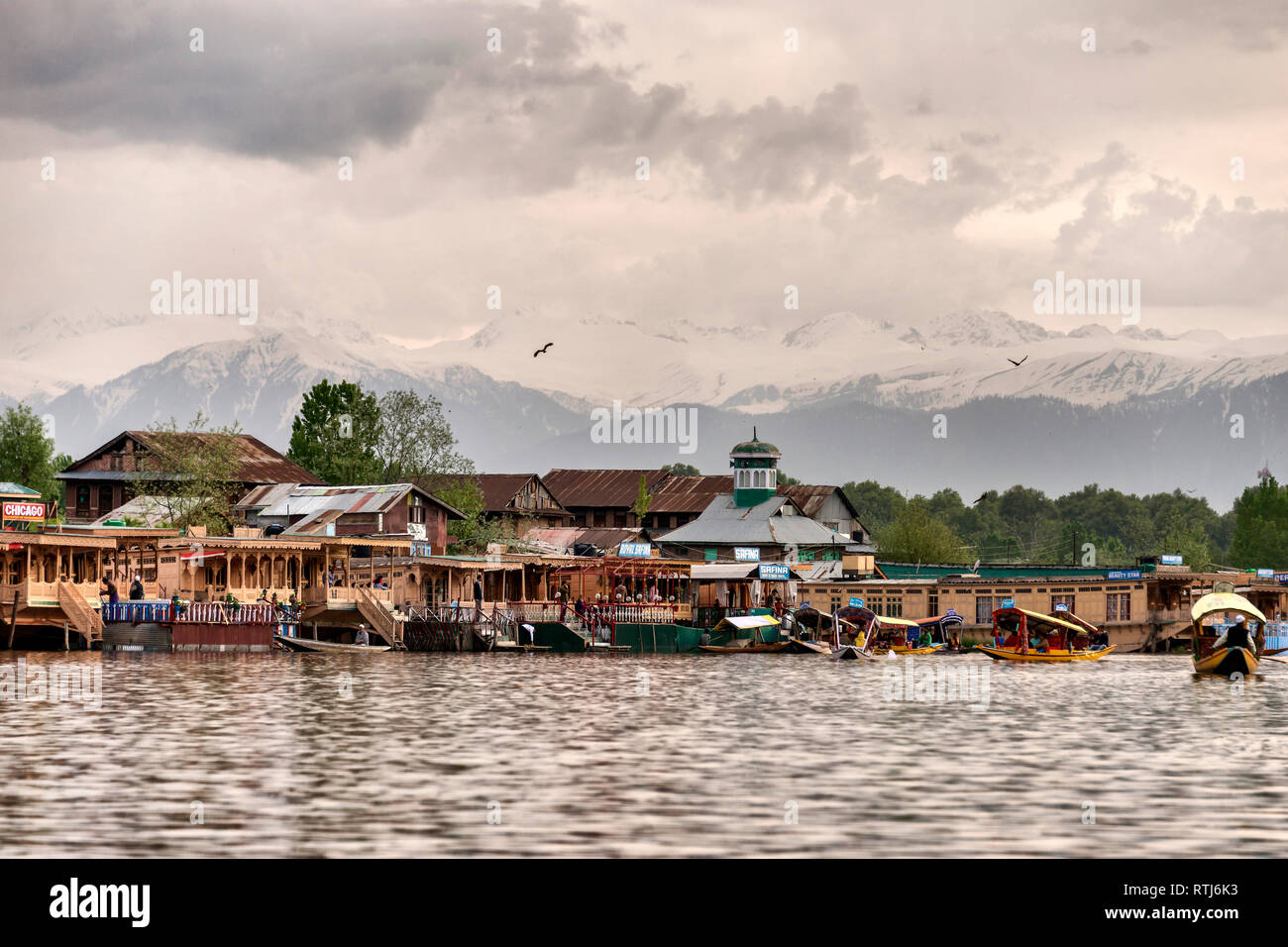 Dal lake, Srinagar, Jammu and Kashmir, J&K, India Stock Photo - Alamy