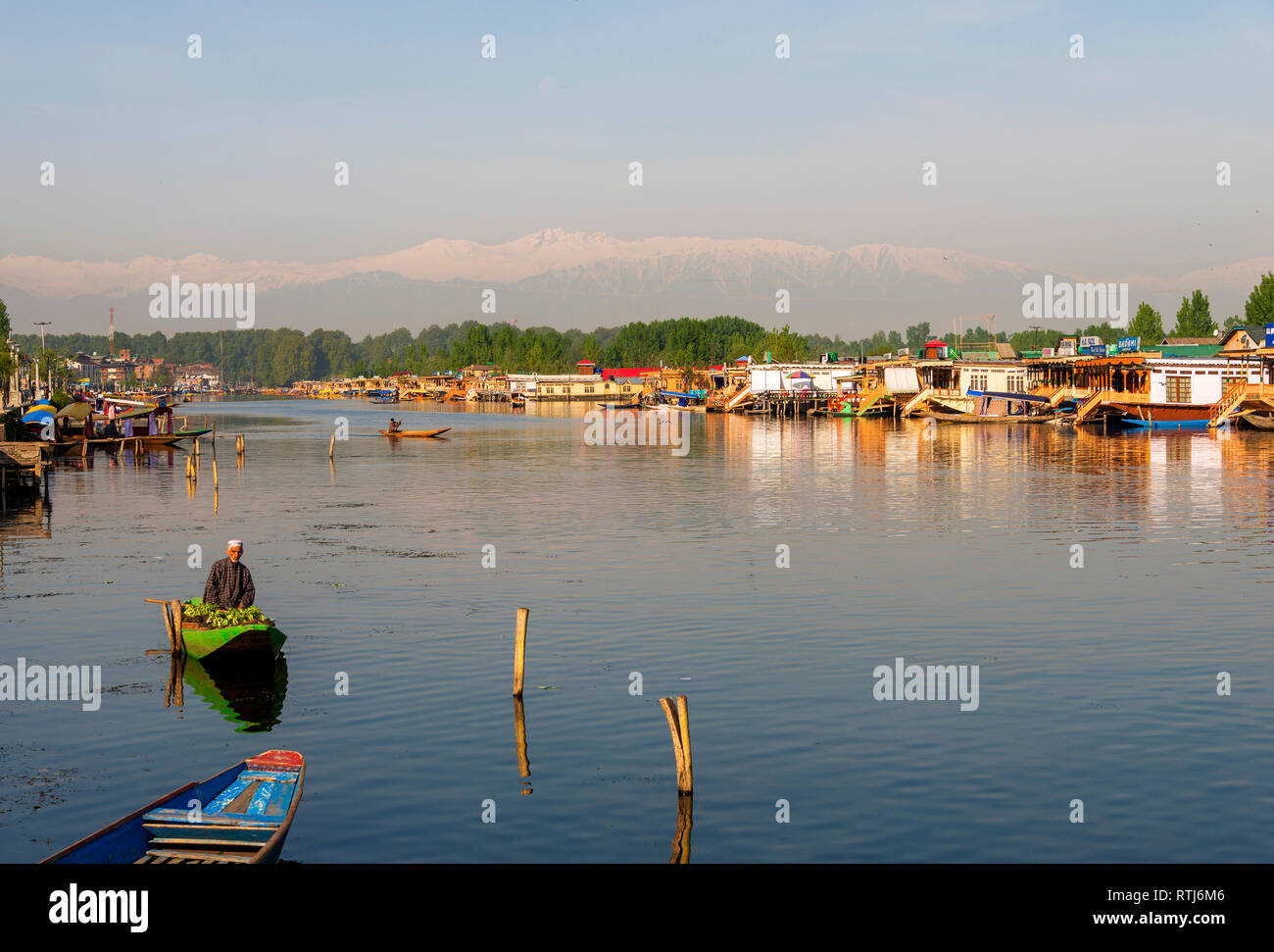 Dal lake, Srinagar, Jammu and Kashmir, J&K, India Stock Photo - Alamy
