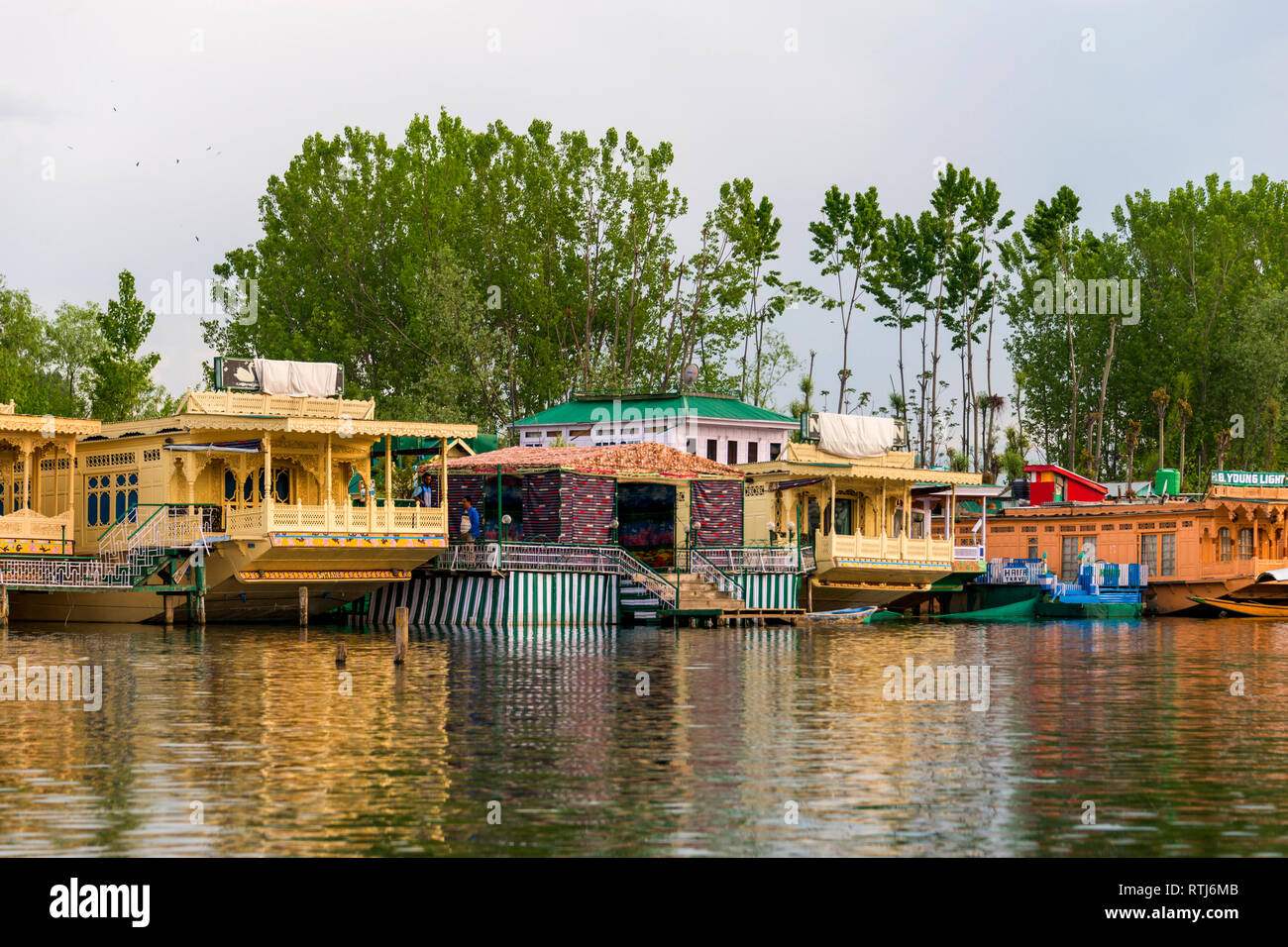 Dal lake, Srinagar, Jammu and Kashmir, J&K, India Stock Photo - Alamy