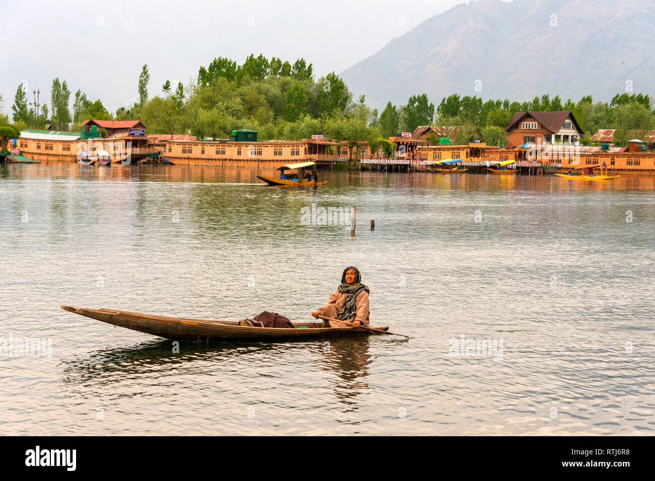 Dal lake, Srinagar, Jammu and Kashmir, J&K, India Stock Photo - Alamy