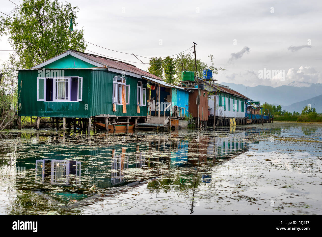 Dal lake, Srinagar, Jammu and Kashmir, J&K, India Stock Photo - Alamy