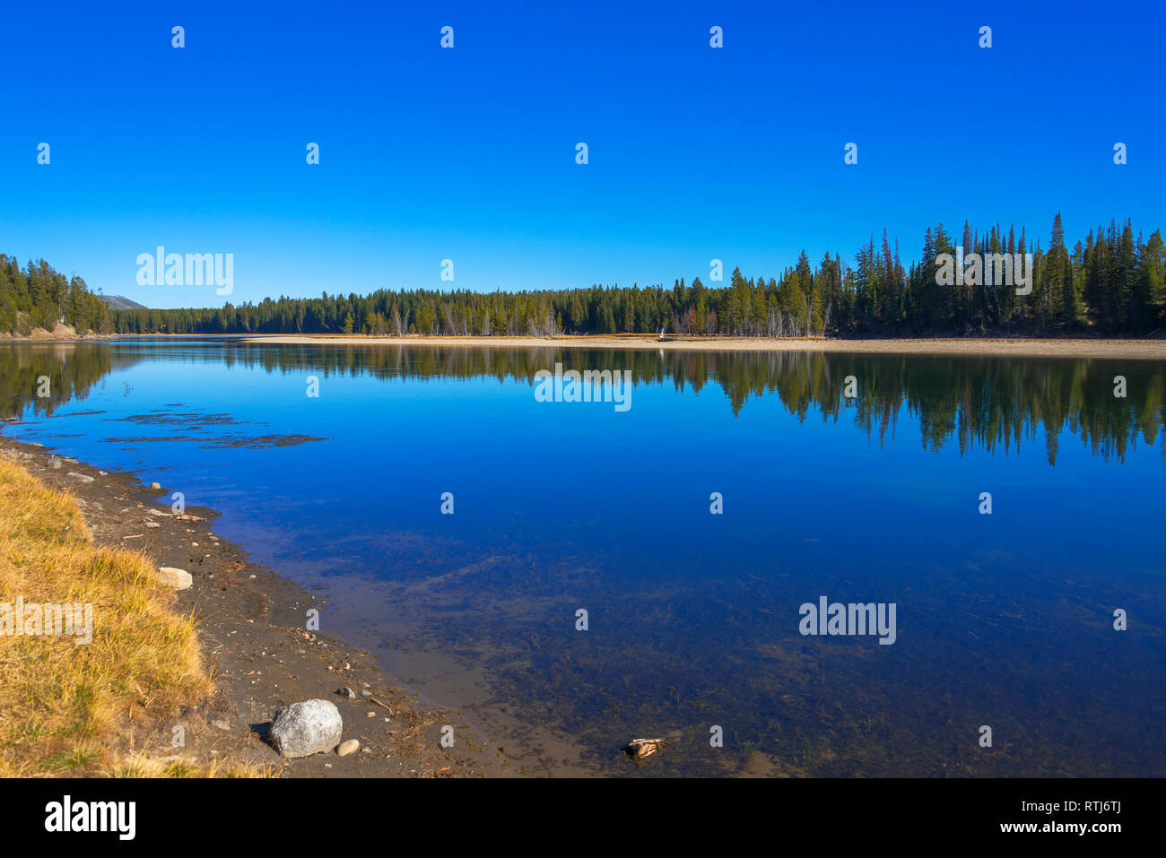 Yellowstone lake, Yellowstone National Park, USA Stock Photo - Alamy