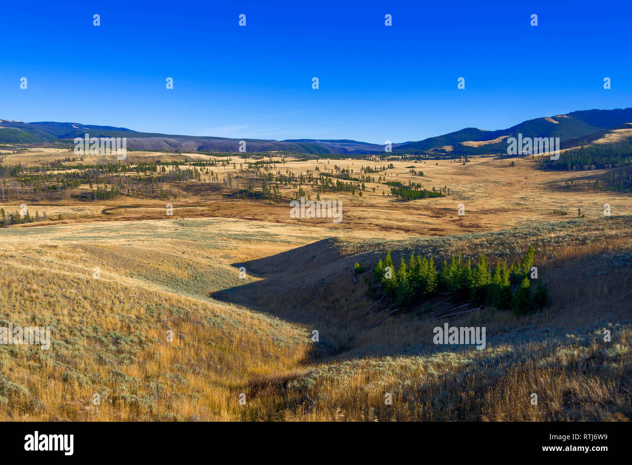 Yellowstone skyline hi-res stock photography and images - Alamy