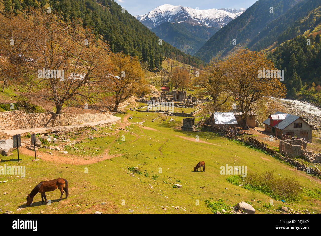 Naranagh temple hi-res stock photography and images - Alamy