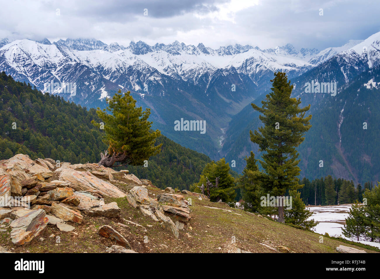 Mountain landscape, Jammu and Kashmir, India Stock Photo - Alamy