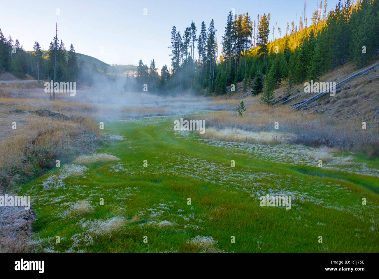 Obsidian Creek, Yellowstone National Park, USA Stock Photo - Alamy