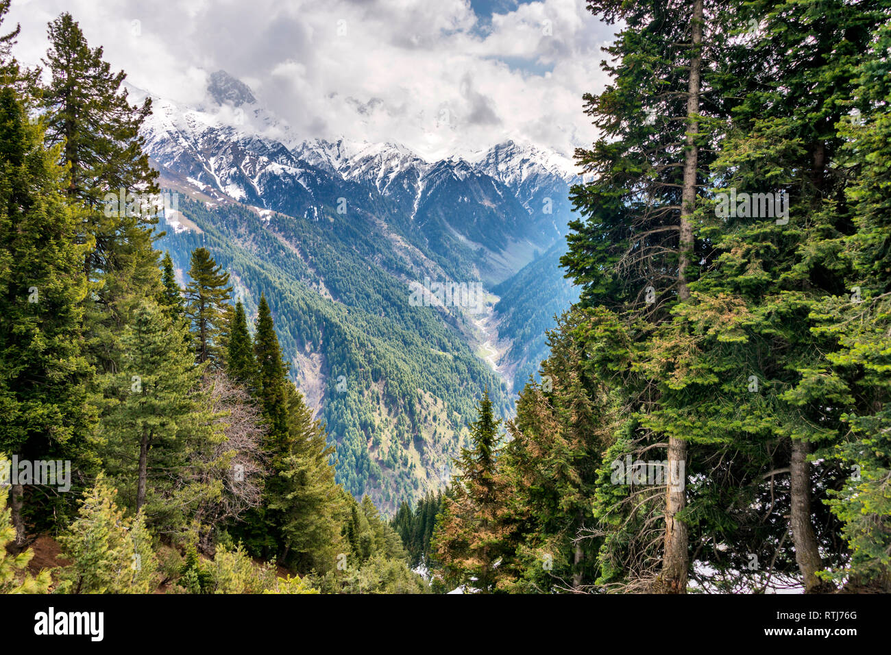 Mountain landscape, Jammu and Kashmir, India Stock Photo - Alamy