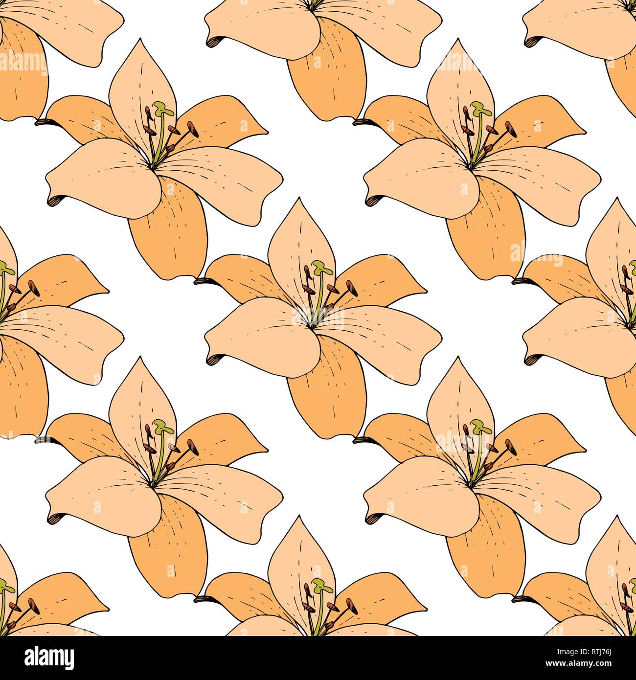 Vector Lily floral botanical flower. Engraved ink art. Seamless ...