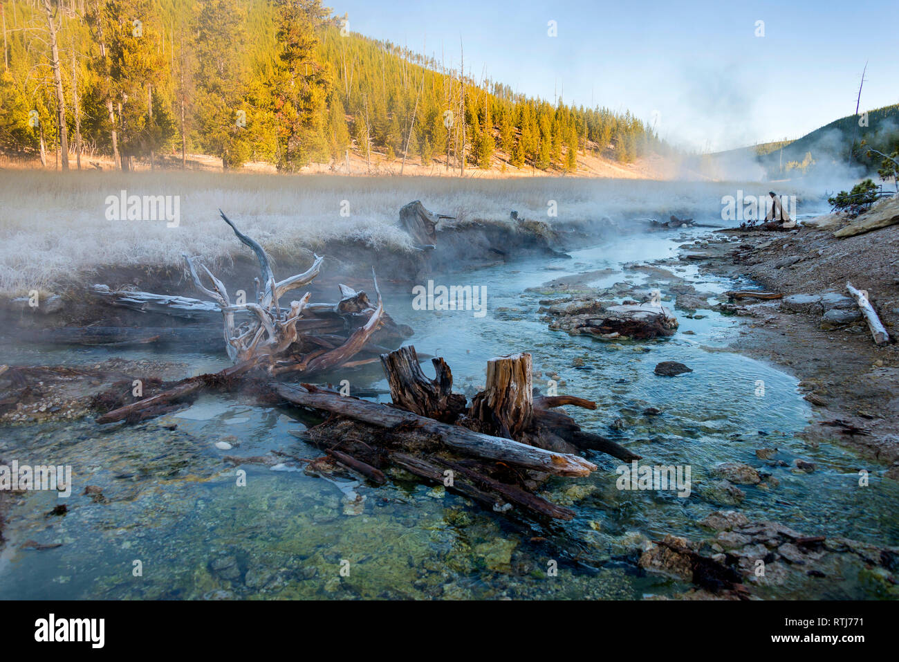 Obsidian Creek, Yellowstone National Park, USA Stock Photo - Alamy