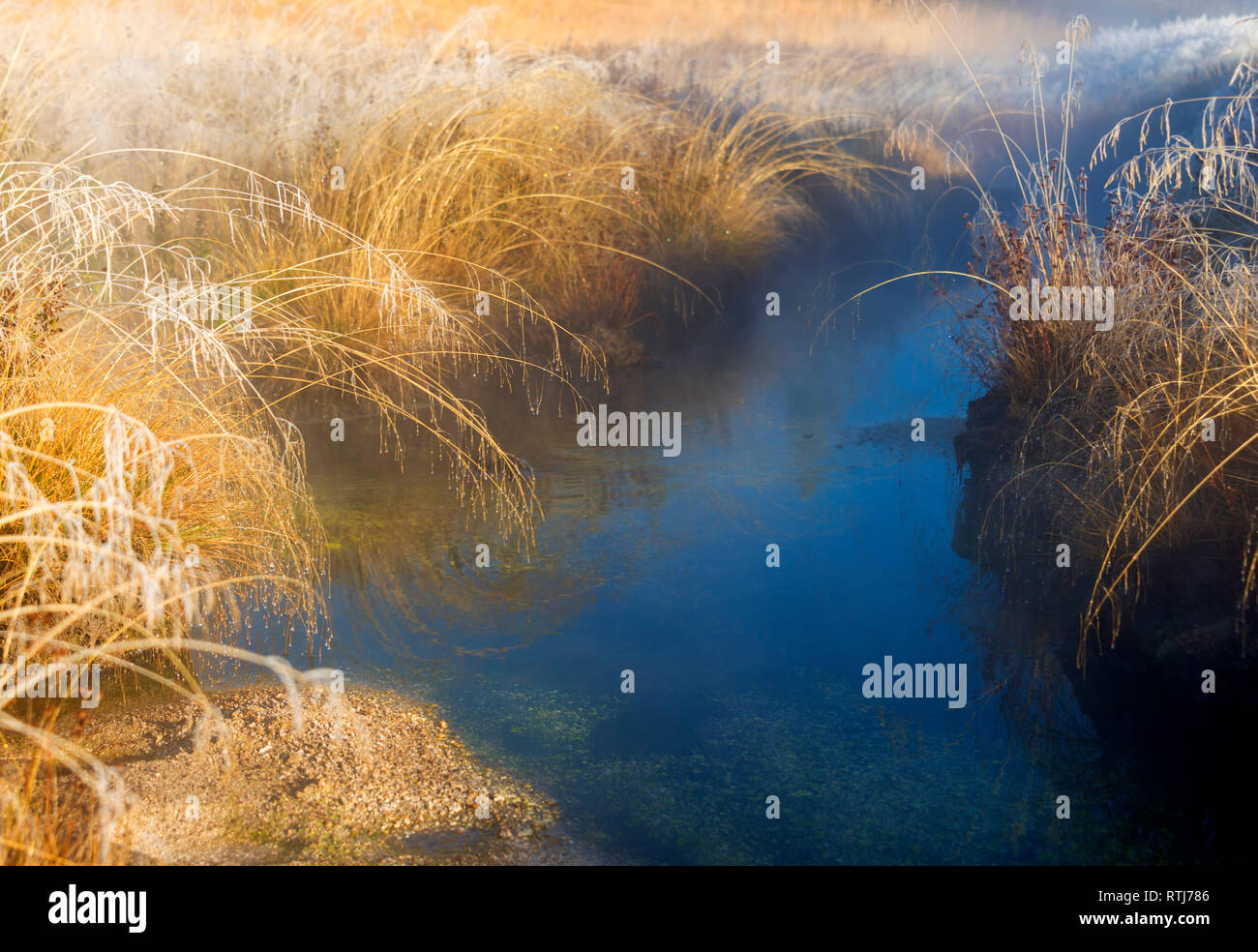 Obsidian Creek, Yellowstone National Park, USA Stock Photo - Alamy