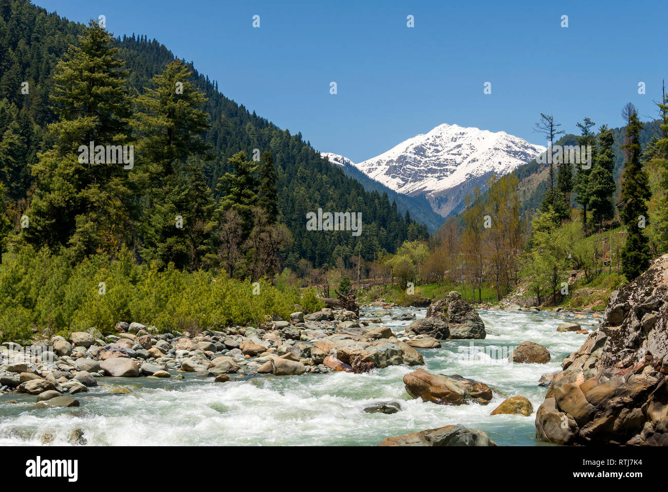 Mountain river, Jammu and Kashmir, India Stock Photo - Alamy